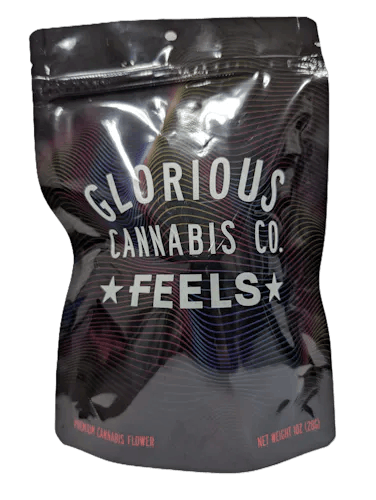 Jet Fuel X GMO (H) | Glorious Cannabis Co. | 14g Flower | Flower ...
